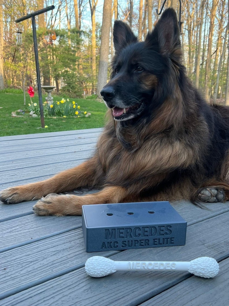 3D Printed Plastic Scent Work Slider Tin New Title Awards Trophies ...