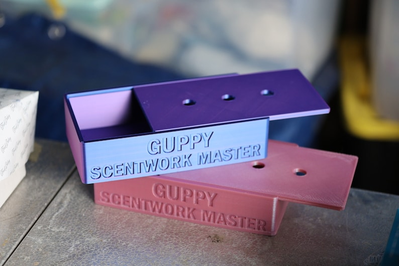 3D Printed Plastic Scent Work Slider Tin New Title Awards Trophies ...