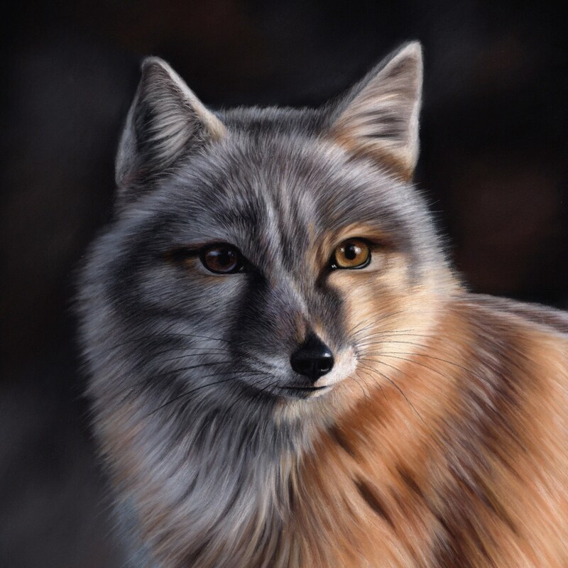 Fox Artwork - Etsy