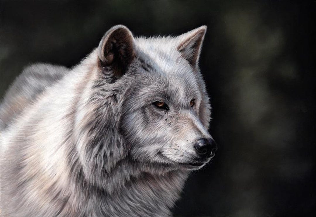 Original Pastel Artwork of a Wolf. Wildlife Art. Original Art. Wildlife ...