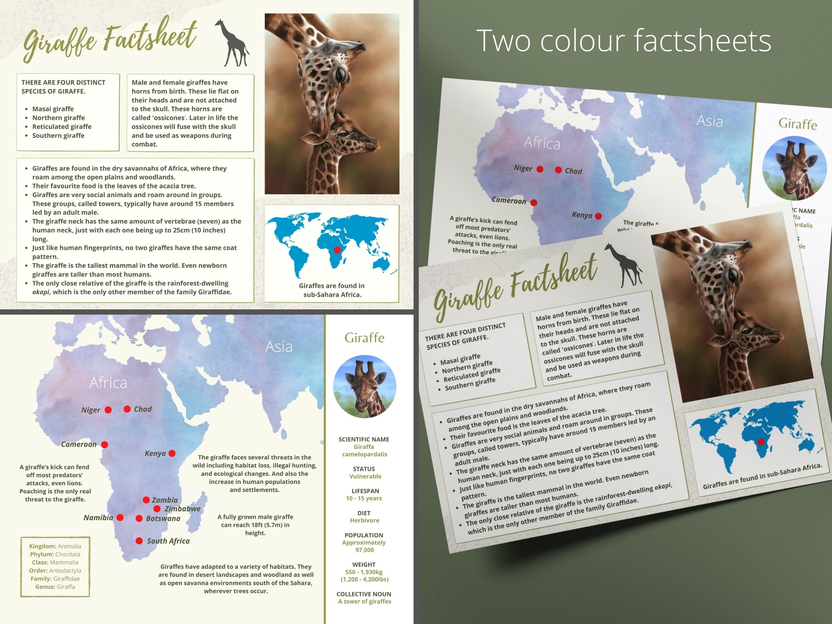 Giraffe Factsheet. Instant Digital Download. Home School Printable ...