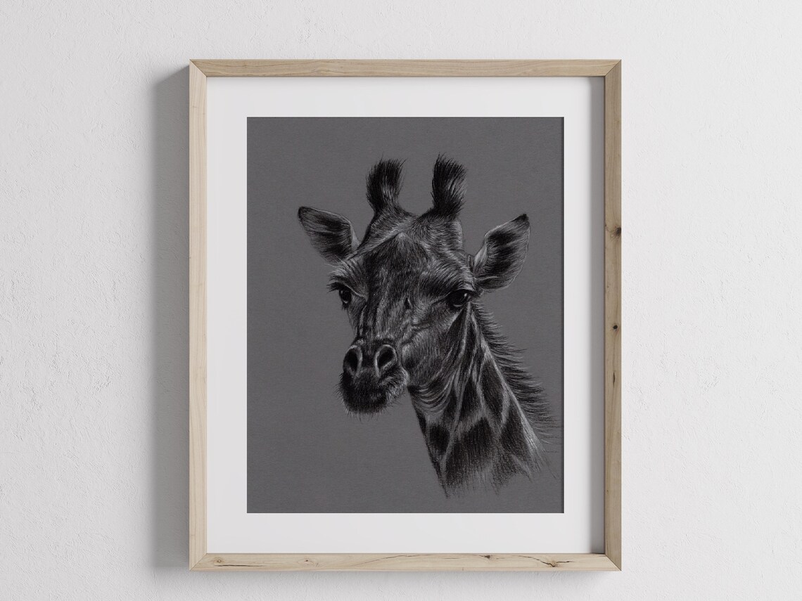 Original Artwork. Charcoal Drawing. Giraffe. Wildlife. Drawing ...