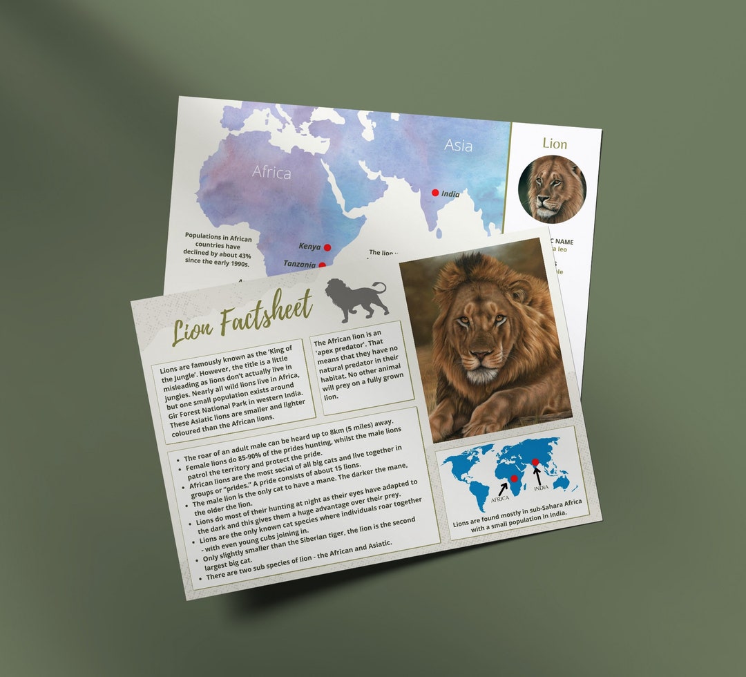 Lion Factsheet. Instant Digital Download. Home School Printable ...