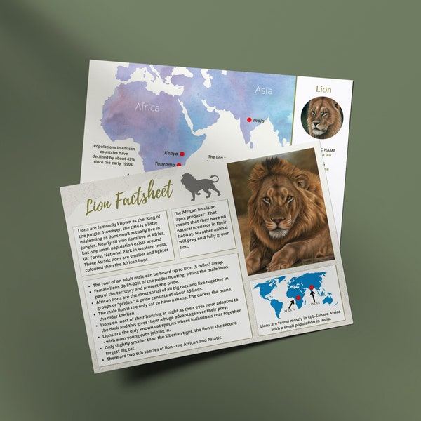 Lion Factsheet. Instant Digital Download. Home School Printable ...