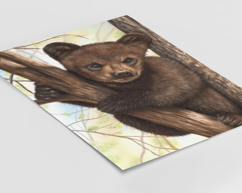 Wildlife Print | Bear Cub Illustration | Wildlife Wall Art | Bear Cub ...