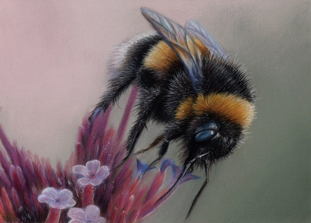 Original Pastel Artwork of a Bee. Wildlife Art. Original Art. Wildlife ...