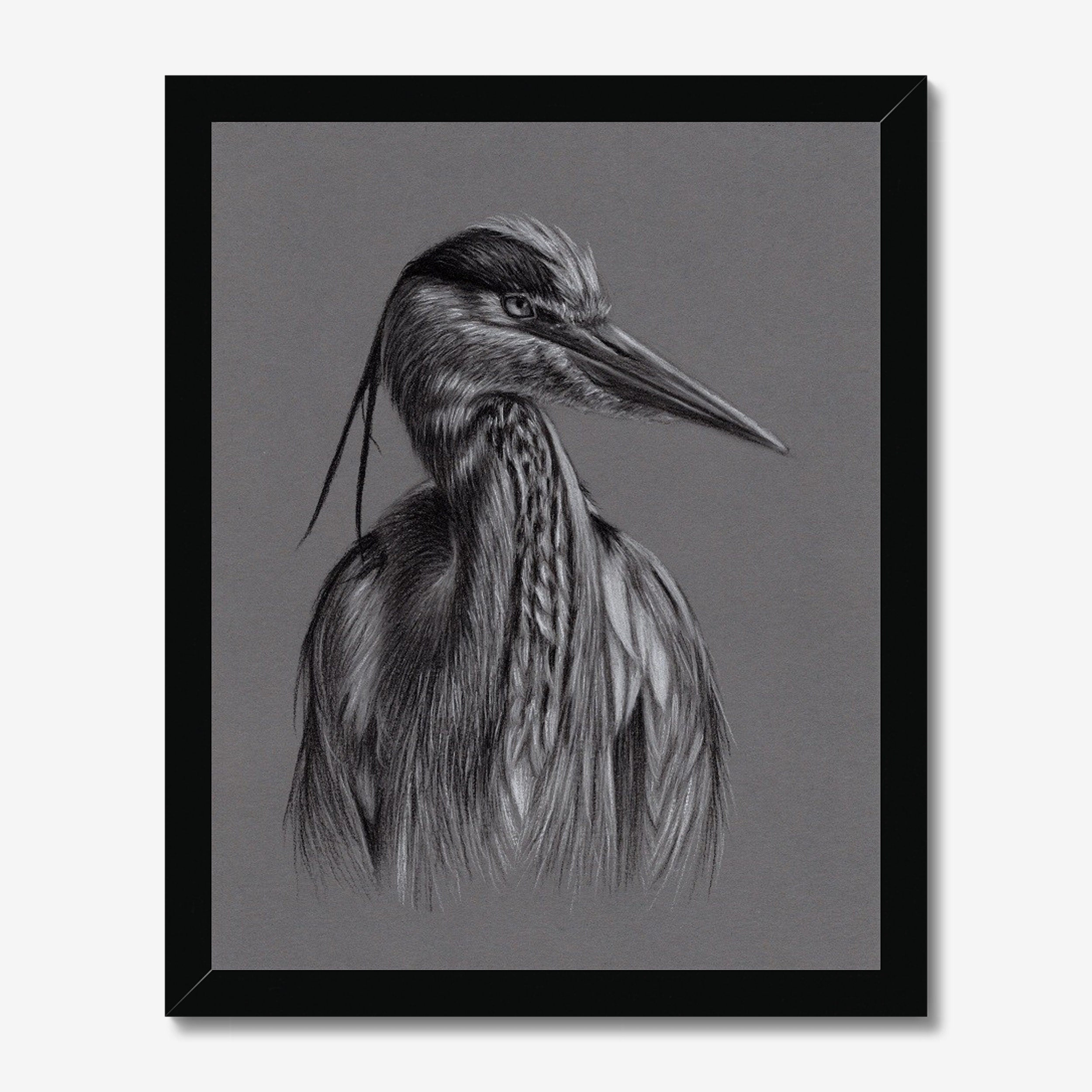 Original Artwork. Charcoal Drawing. Heron. Wildlife. Drawing. Charcoal ...