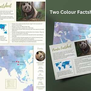 Panda Factsheet. Instant Digital Download. Home School Printable ...