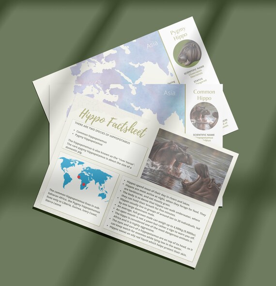 Hippo Factsheet. Instant Digital Download. Home School - Etsy