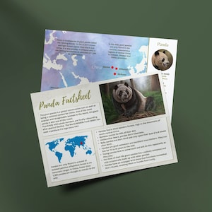 Panda Factsheet. Instant Digital Download. Home School Printable ...