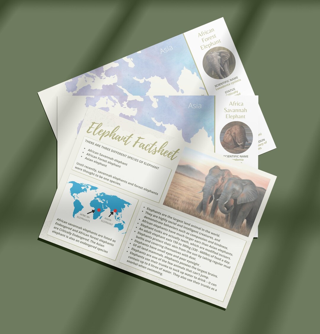 Elephant Factsheet. Instant Digital Download. Home School Printable ...