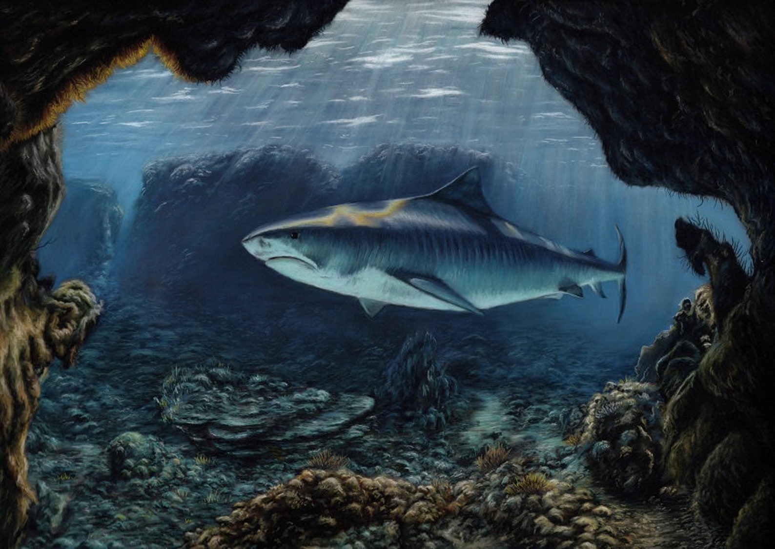 Original Pastel Artwork of a Tiger Shark. Ocean Art. Original Art ...