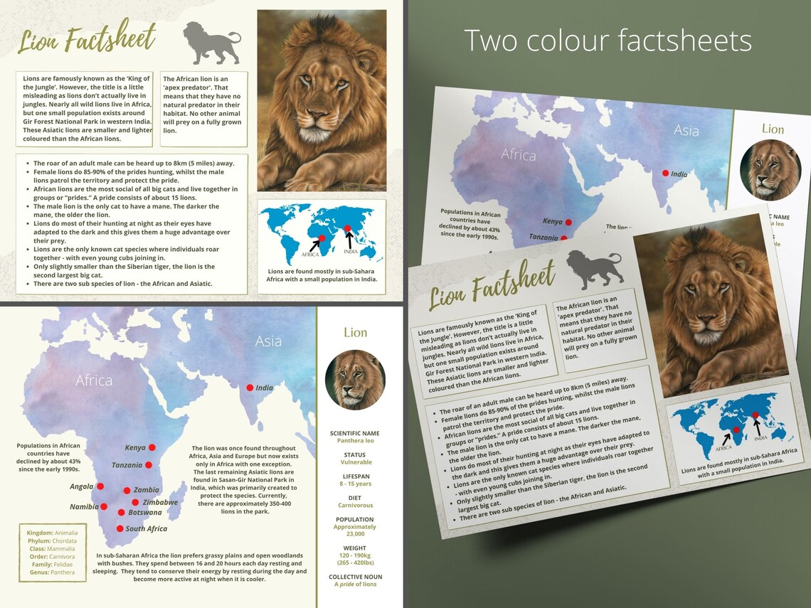 Lion Factsheet. Instant Digital Download. Home School Printable ...