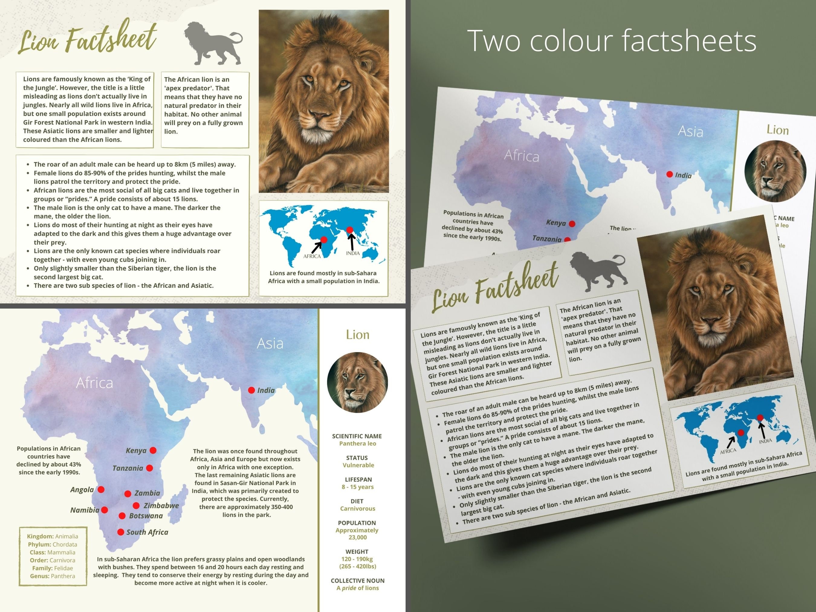 Lion Factsheet. Instant Digital Download. Home School Printable ...