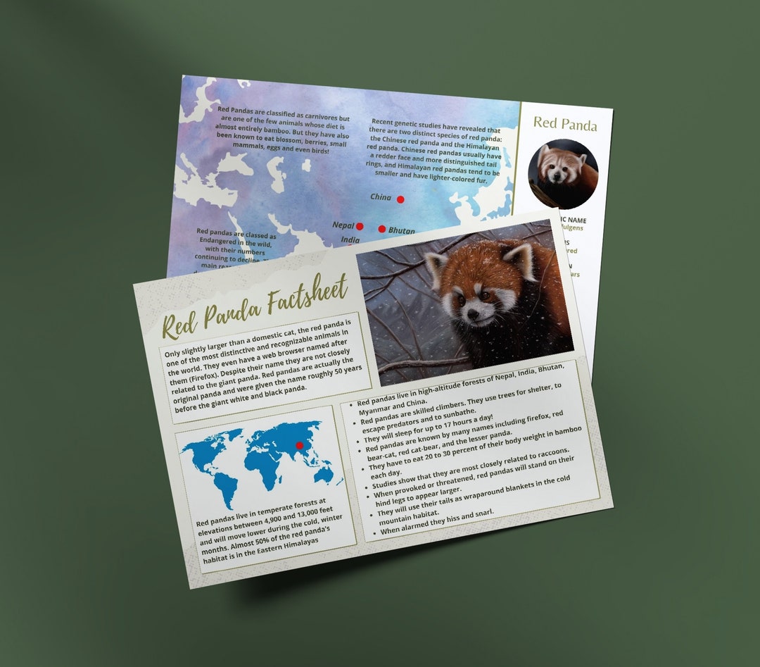 Red Panda Factsheet. Instant Digital Download. Home School Printable. Printable Factsheets ...