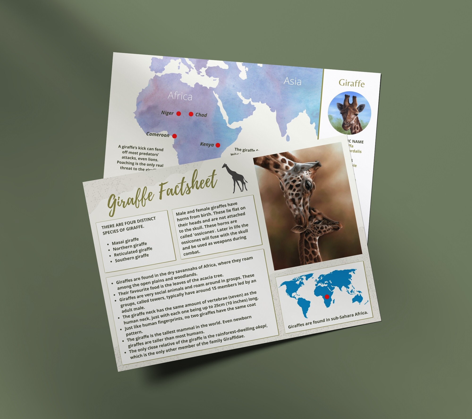 Giraffe Factsheet. Instant Digital Download. Home School Printable ...