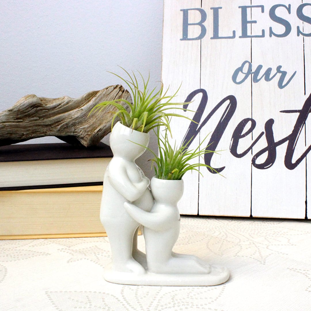 Baby Bump Ceramic Pot for Air Plants With or Without Plants - Live Air ...