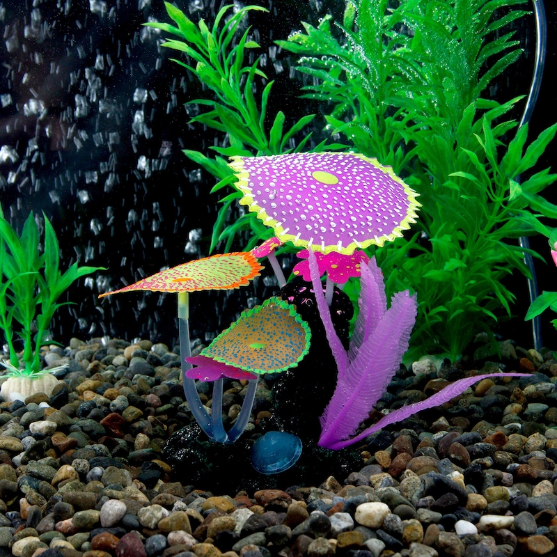 Fish Tank Decor - Etsy