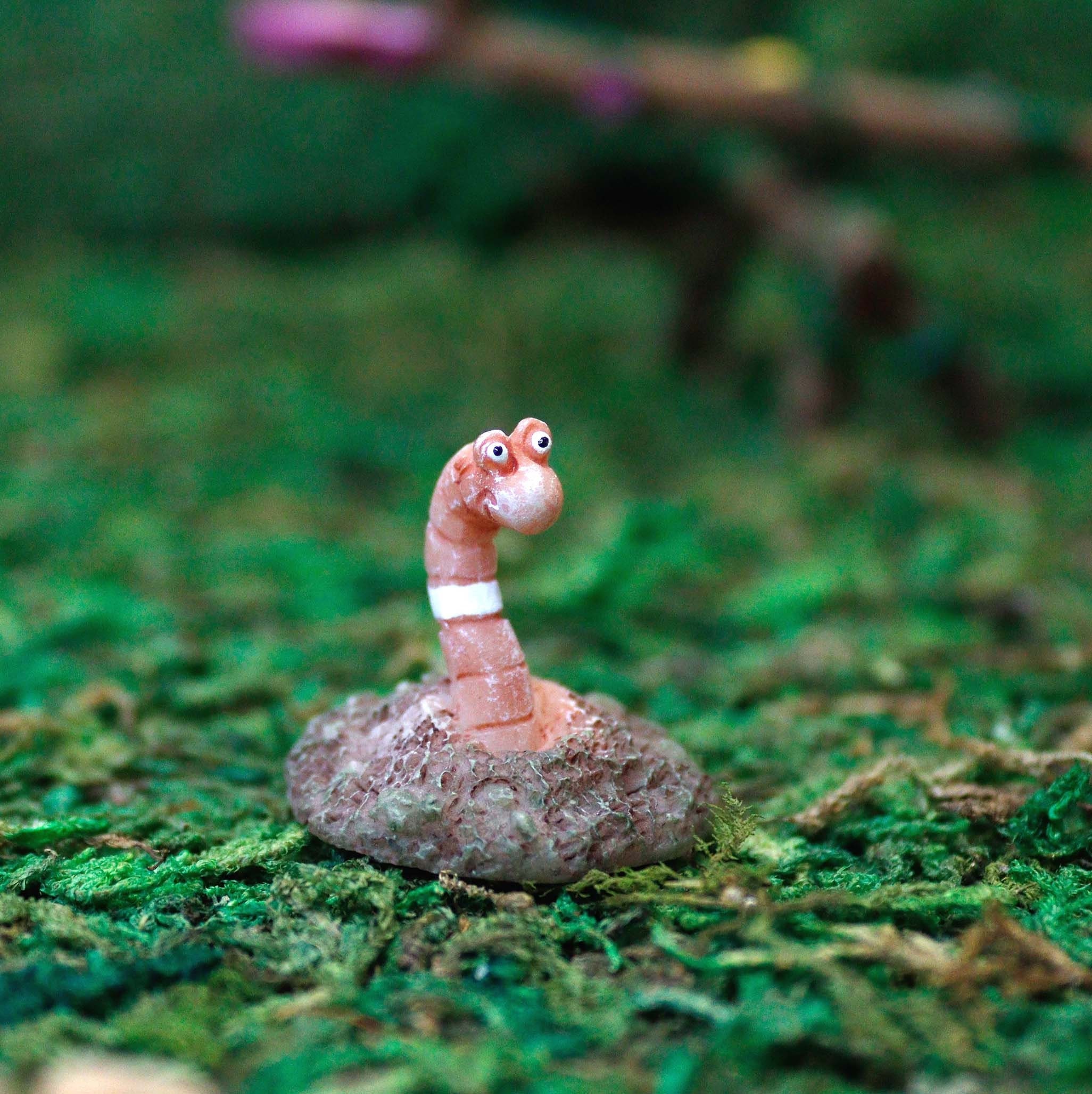 Mini Earthworm | Little Kim World Fairy Garden | Tiny Fairy Sets ...