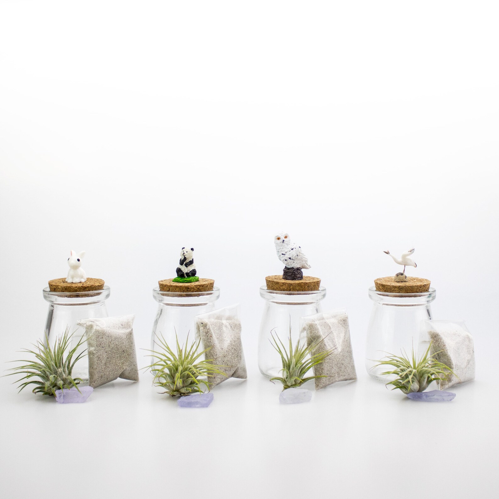 Mini Air Plant Terrarium With Animal Accent Figurine - Animal Terrarium ...