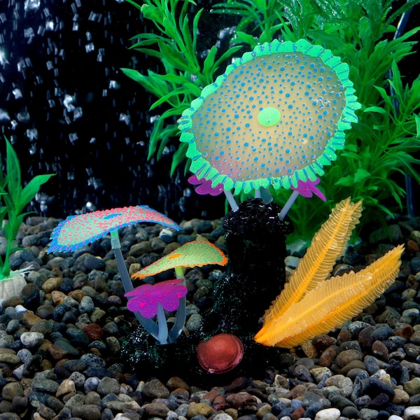 Colorful Fish Tank Plants - Etsy