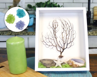 Shadow Box Beach | Etsy