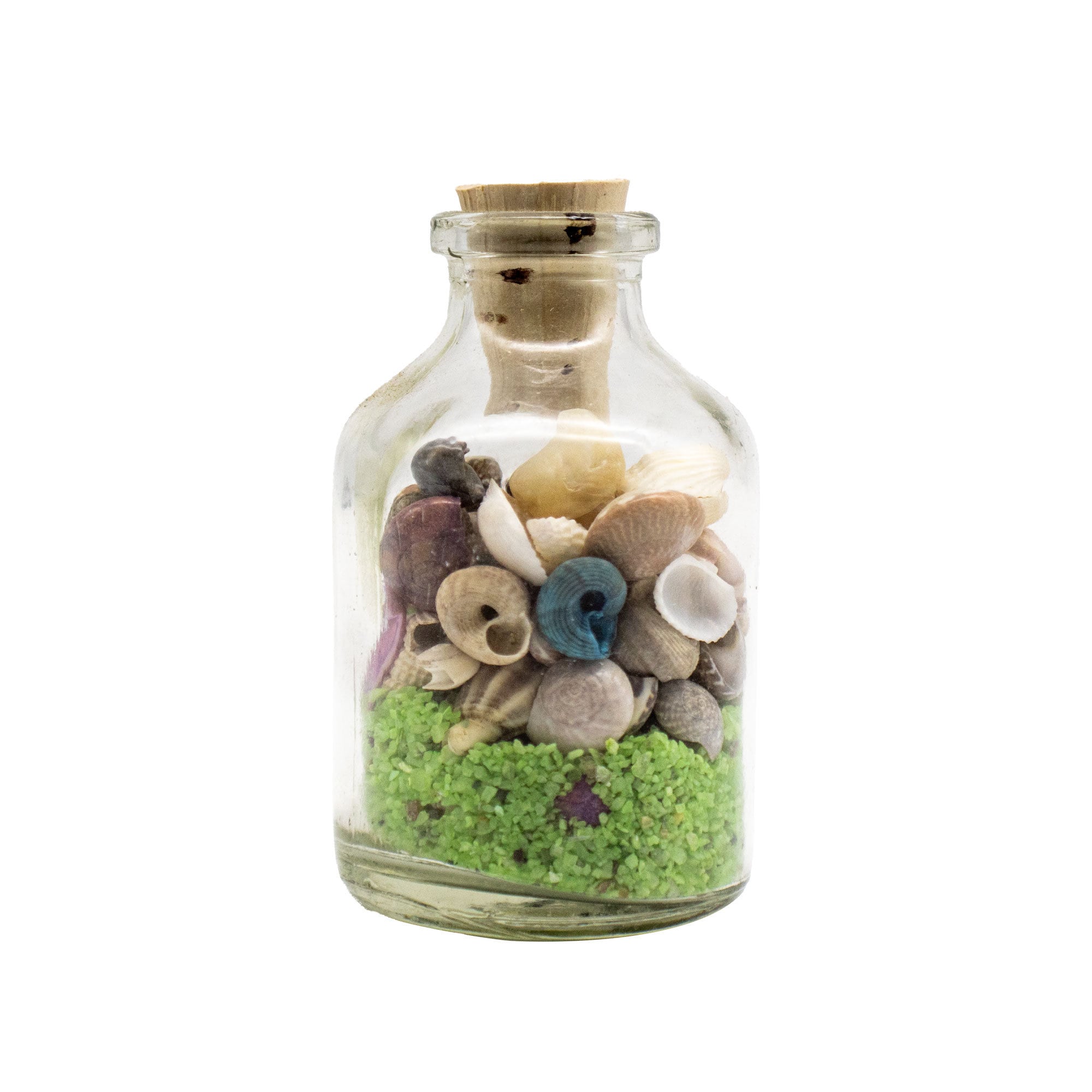Beach in a Bottle, Sand and Seashell Mini Arrangement - Set of 4 Mini ...