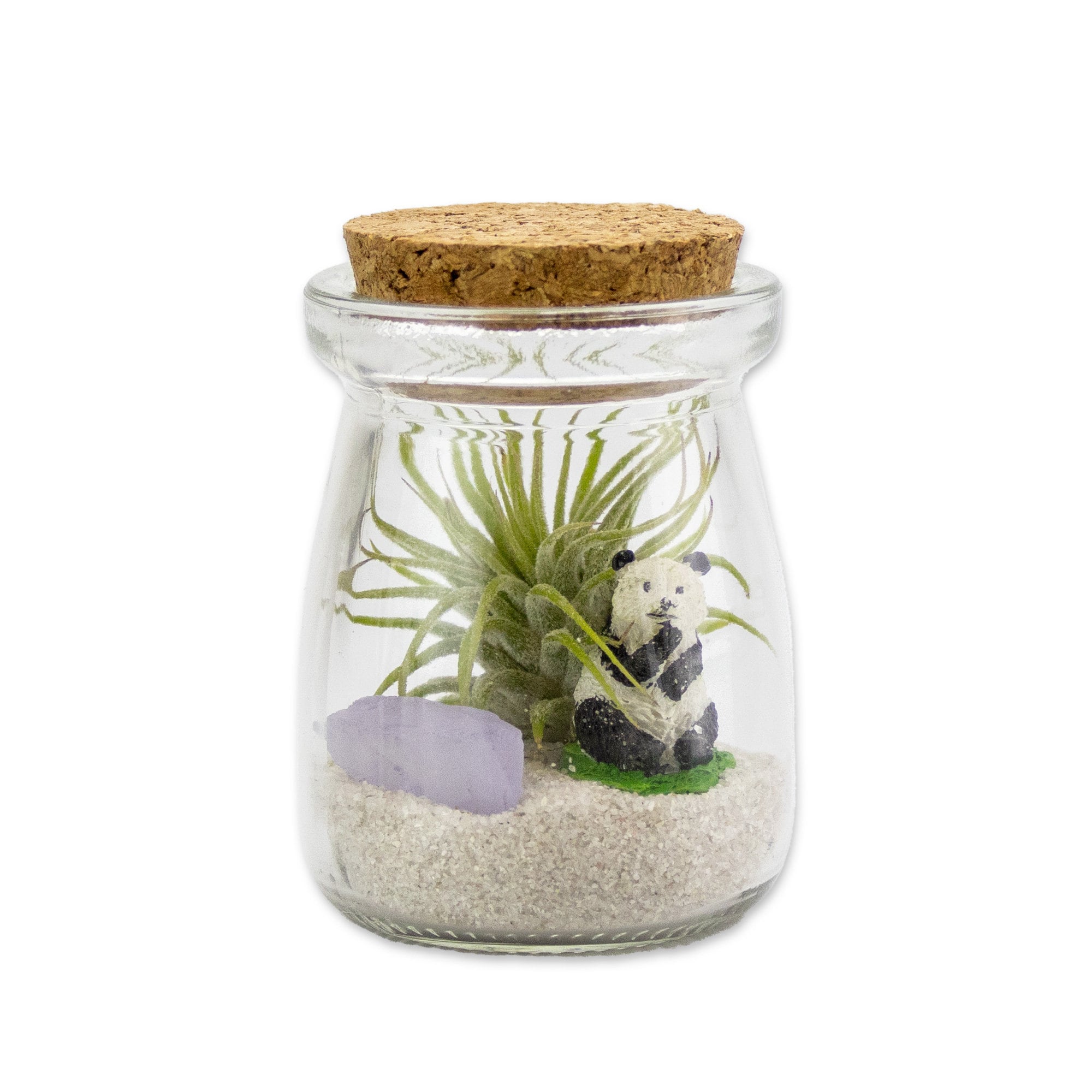 Mini Air Plant Terrarium With Animal Accent Figurine - Animal Terrarium ...