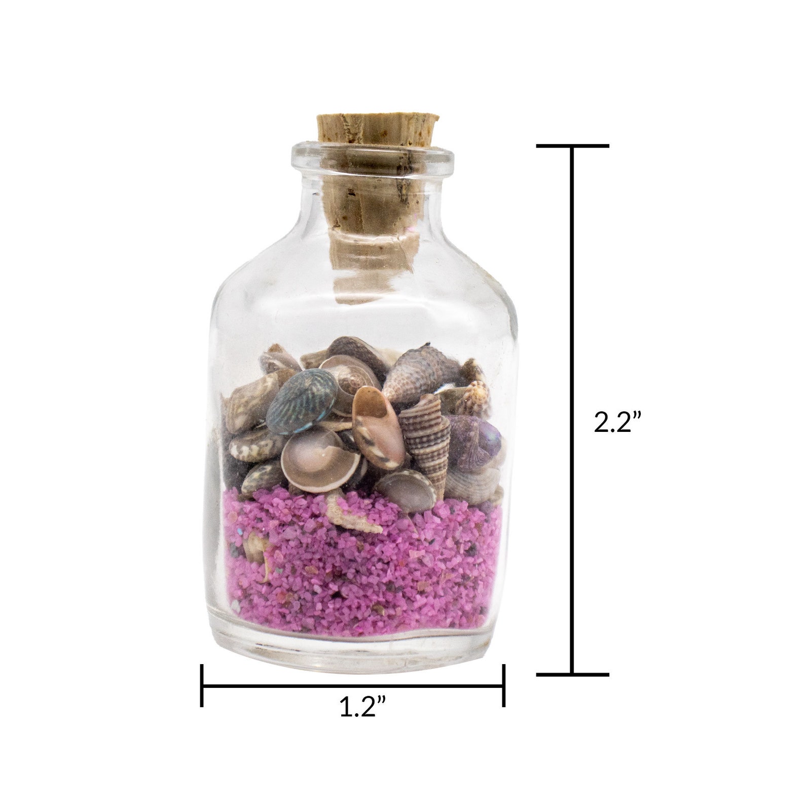 Beach in a Bottle, Sand and Seashell Mini Arrangement - Set of 4 Mini ...