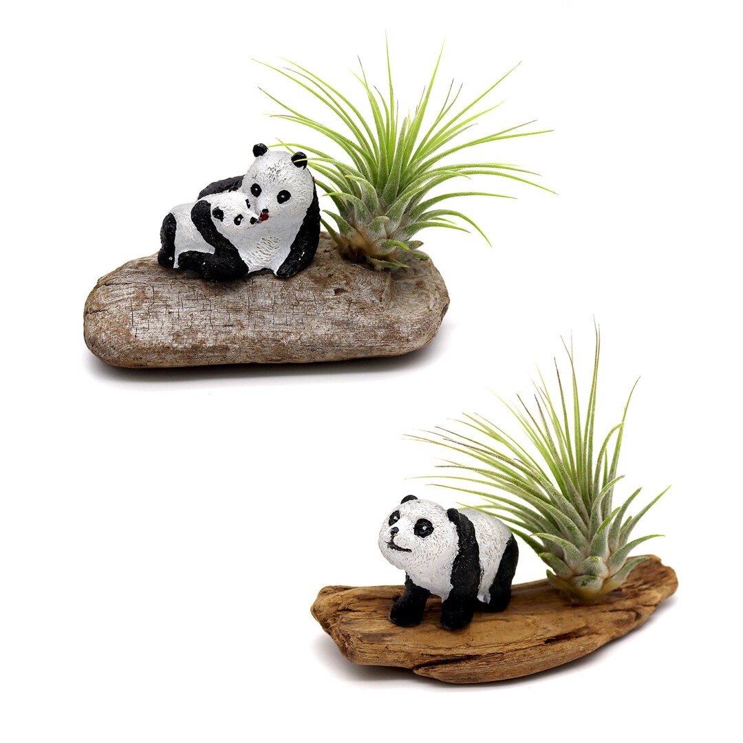 Mini Panda Driftwood Garden Miniature Panda Figures With - Etsy