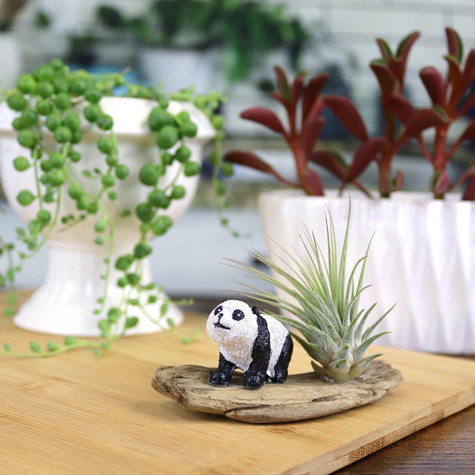 Mini Panda Driftwood Garden Miniature Panda Figures With - Etsy