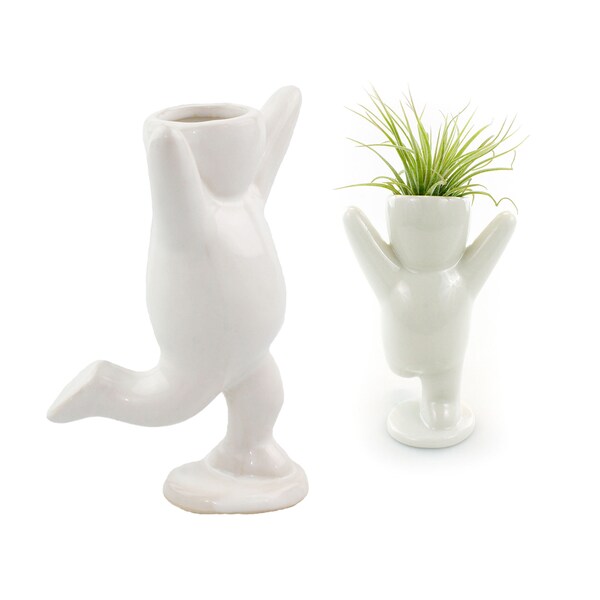 Porcelain Air Plant Holder - Etsy