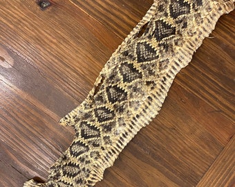 Copperhead Snake Skin - Etsy
