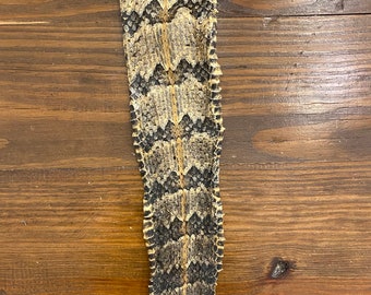 Copperhead Snake Skin - Etsy