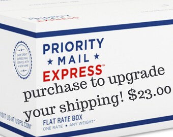 Priority Express Envelope Upgrade - Etsy