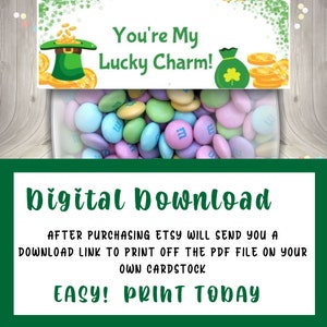 Instant Download, St Patricks Day Printable Treat Bag Topper Kids Gift ...