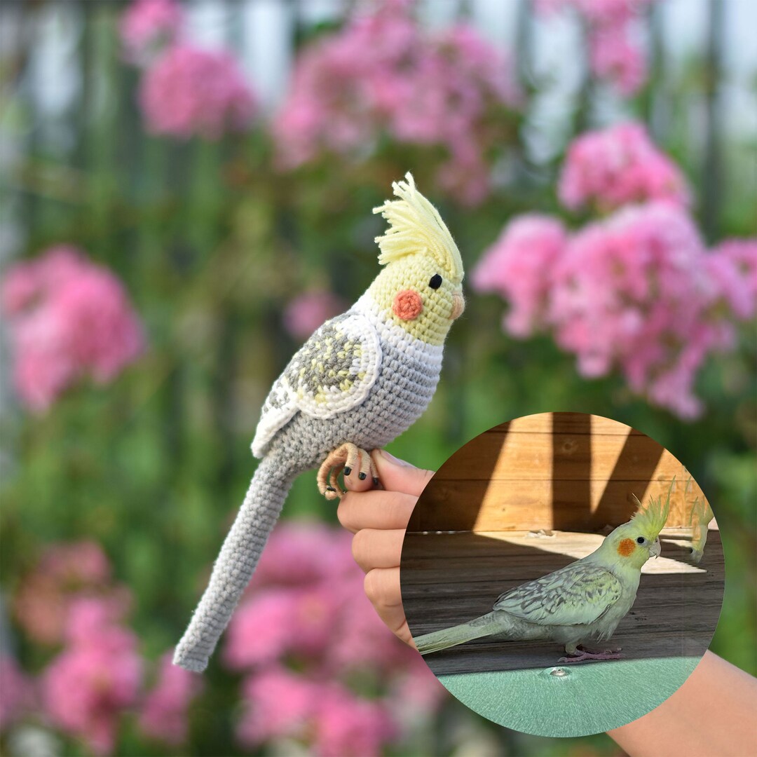 Custom Cockatiel Crochet - Etsy
