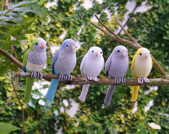 Quaker Parrot Pendant, Monk Parakeet Lovers, Parrot Charm Accessory ...