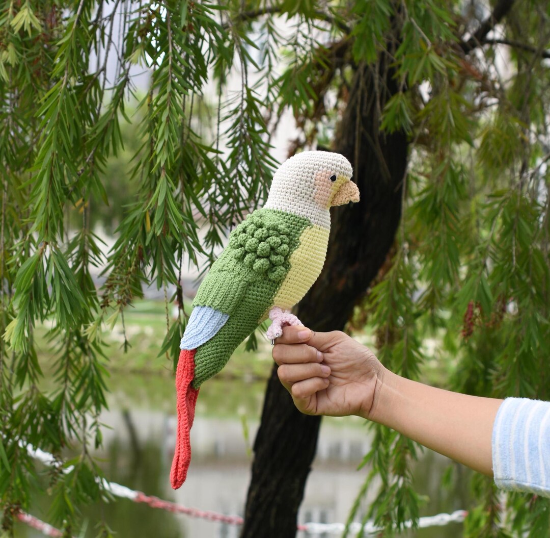 Custom Bird Crochet - Custom Parakeet Bird Amigurumi - Custom Bird ...