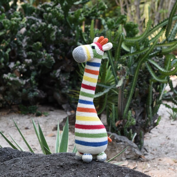 Rainbow Giraffe - Etsy