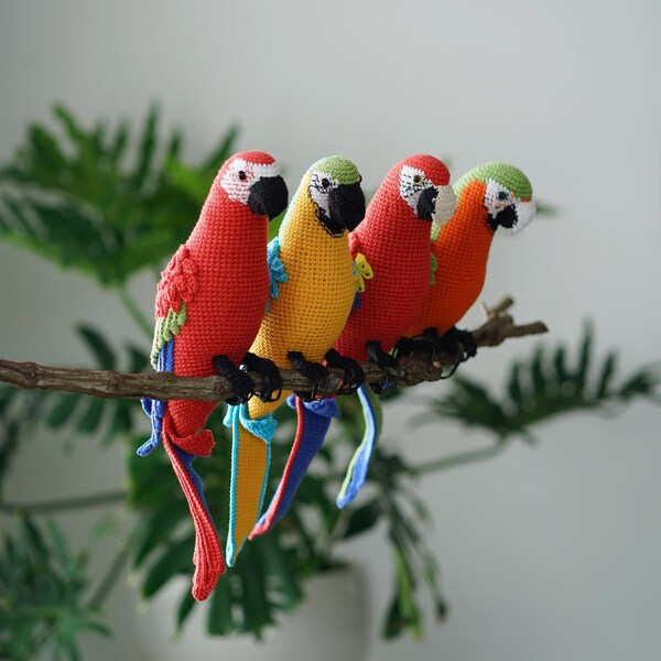 Macaw - Etsy