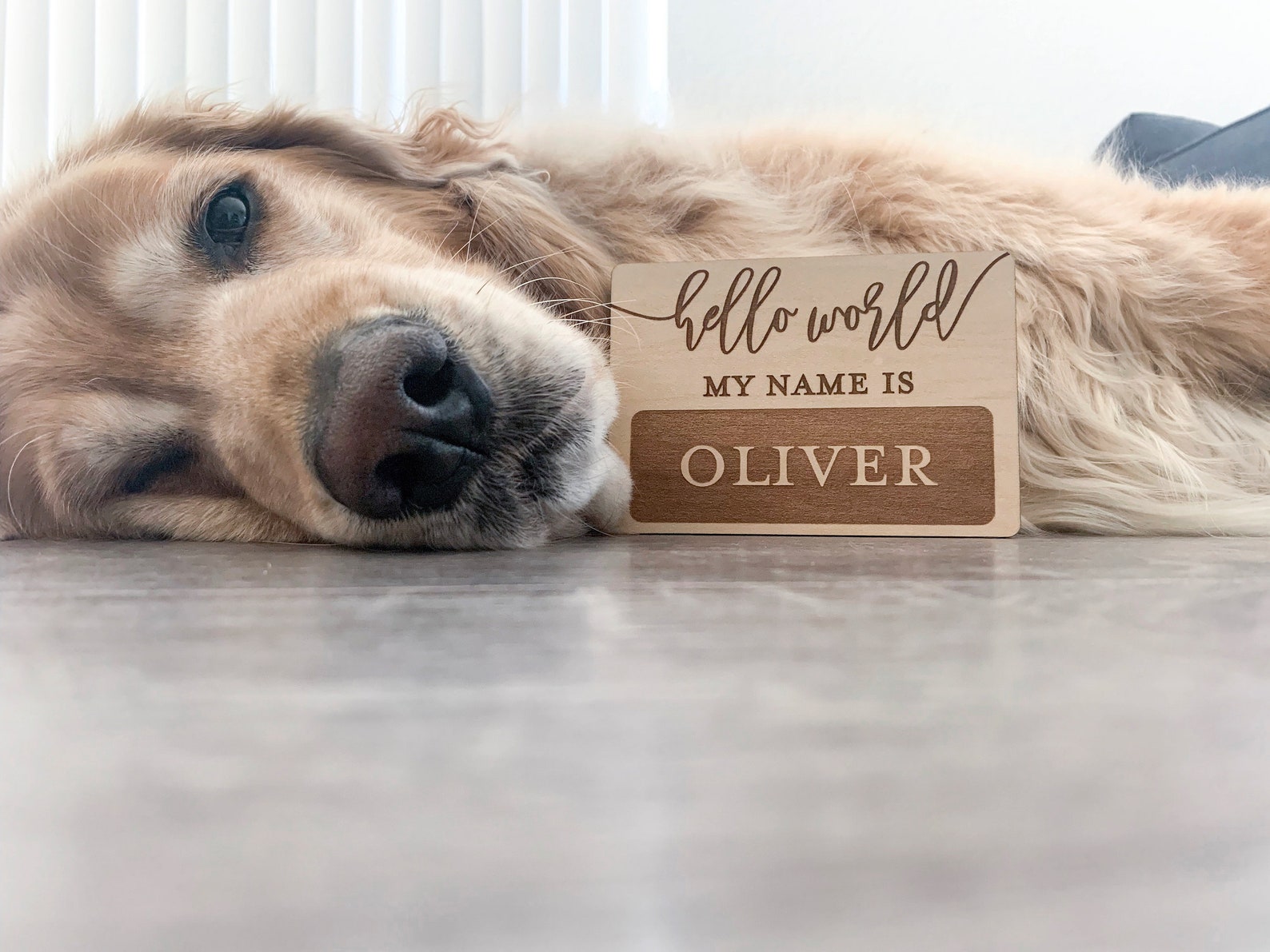 Hello My Name is Sign Wooden Hello World My Name is Sign - Etsy