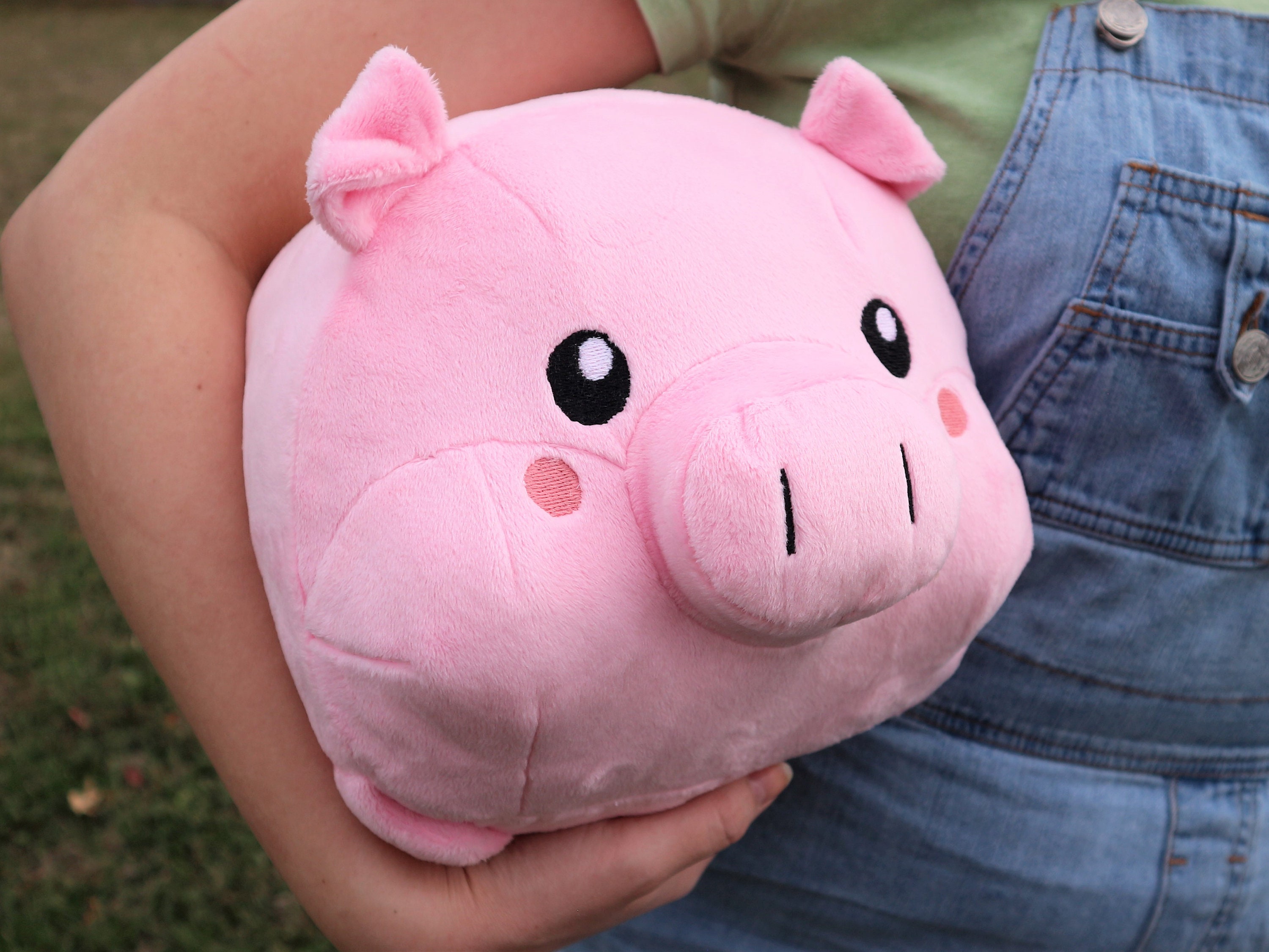 Chubby Piggy Plush Pig Plushie Farm Stuffed Animals Farmhouse Cottagecore Aesthetic Bank Room Decor Pillow Cute Softie Hog Toy Doll Snout Etsy UK