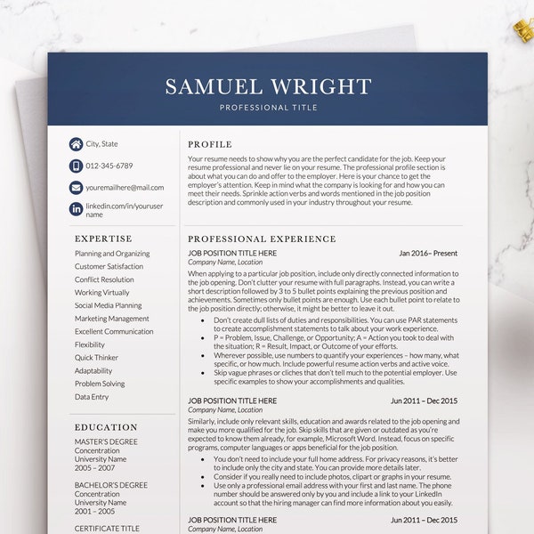 Clean Modern Executive Resume Template 2024, Business CEO Resume ...