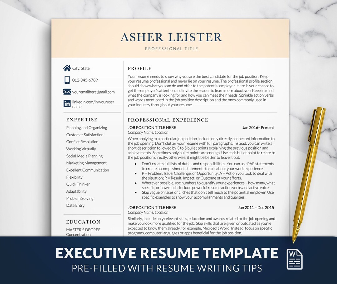 CIO Resume Template, CFO Resume Template, Executive Resume Template ...