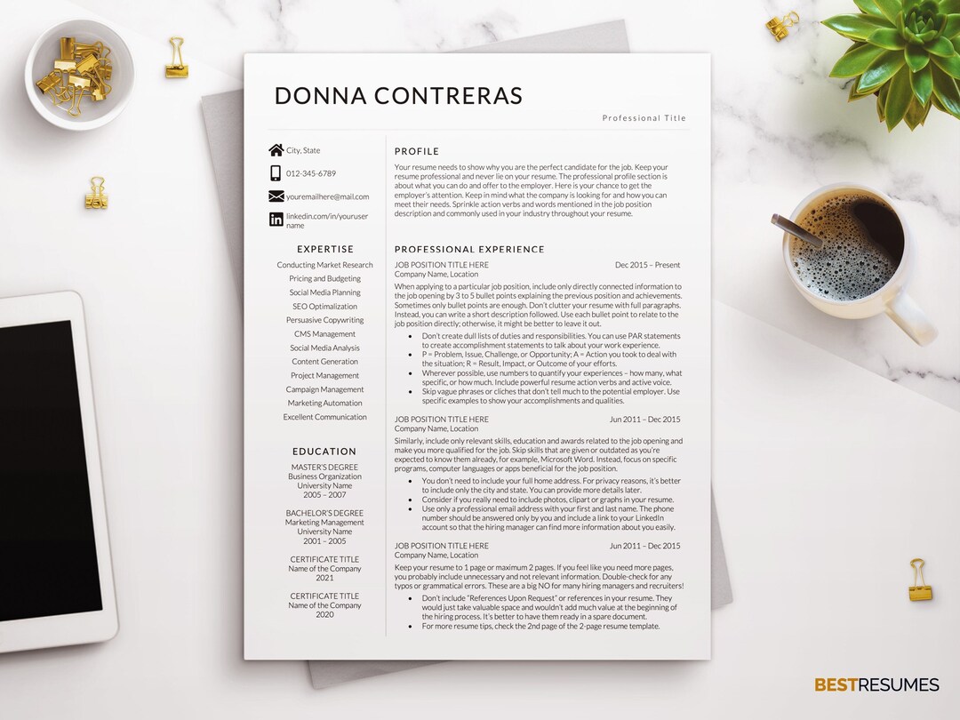 Professional Modern Two Column Resume Template Designed for Word With ...
