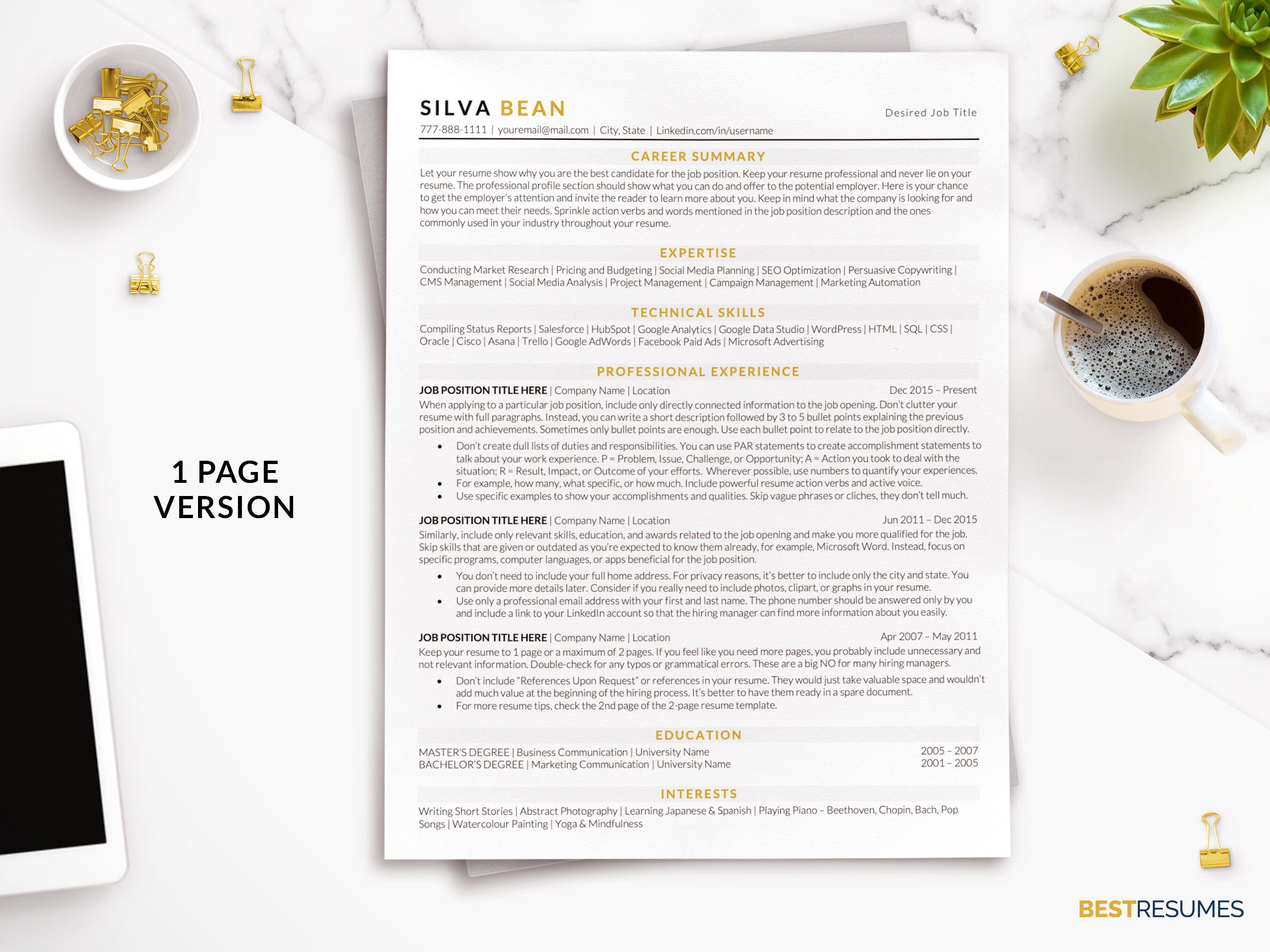 Clean ATS Friendly Resume Template for Word, Google Docs, Mac Pages ...