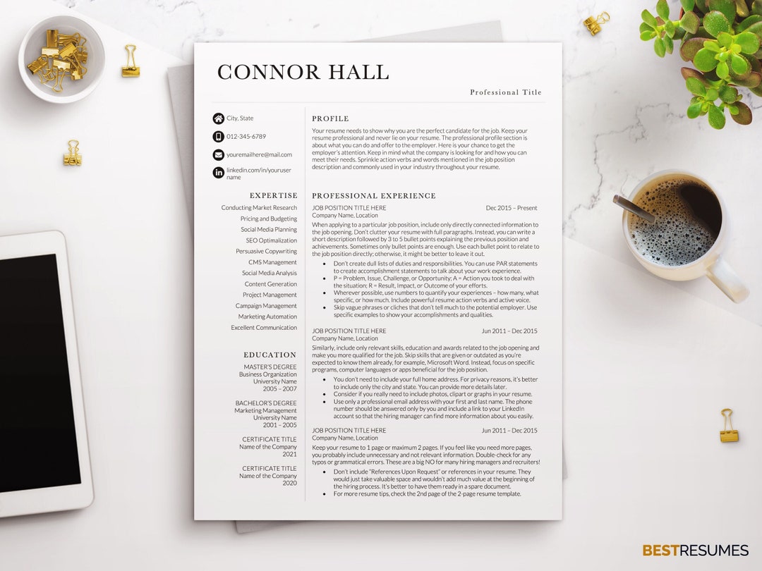 Professional Modern Resume Template 2024, Executive Resume Template 2 ...
