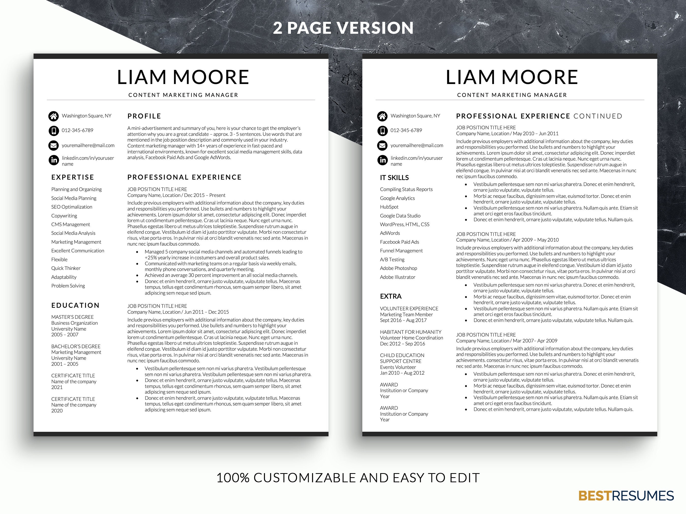 2 Column Resume Template, Modern Executive Resume for Word, Corporate ...