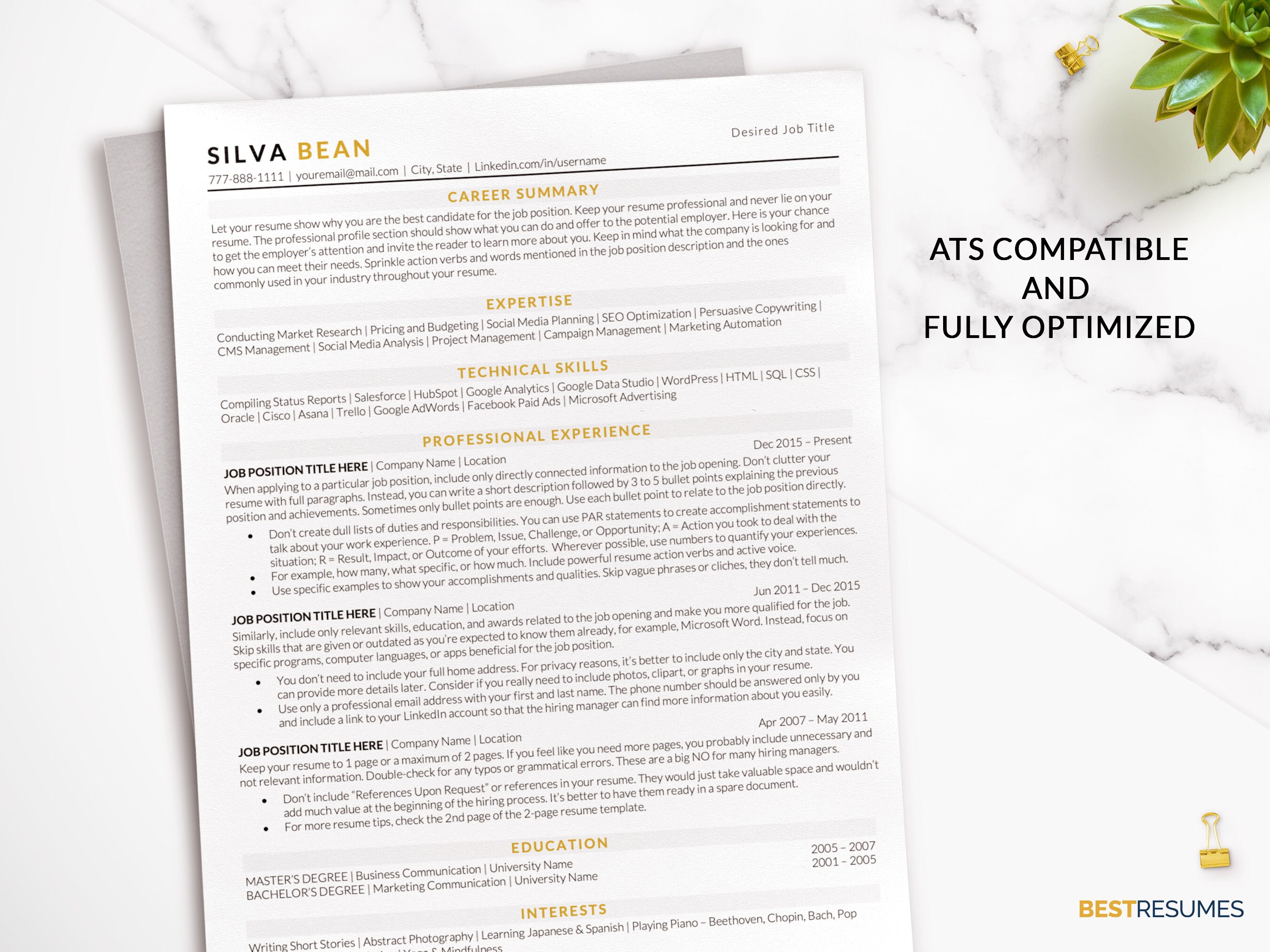 Clean ATS Friendly Resume Template for Word, Google Docs, Mac Pages ...